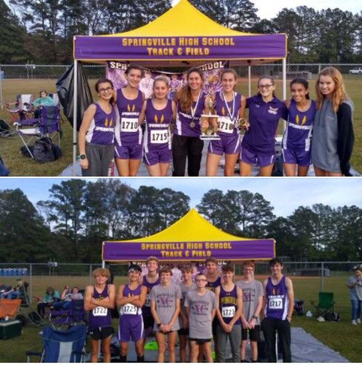 Springville Happenings - St. Clair News-Aegis | St. Clair News-Aegis